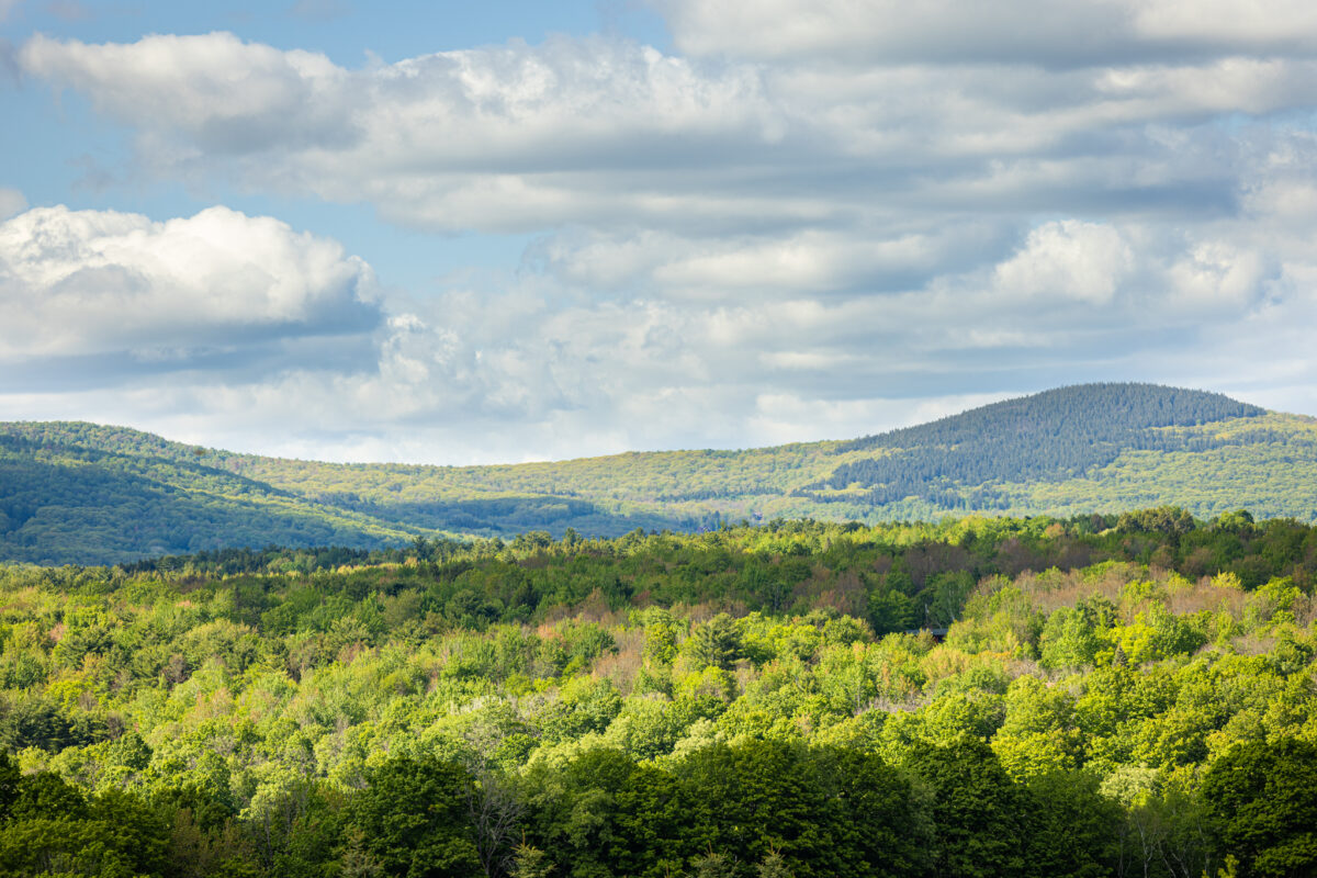 Stay at WMC - Windham Mountain Club